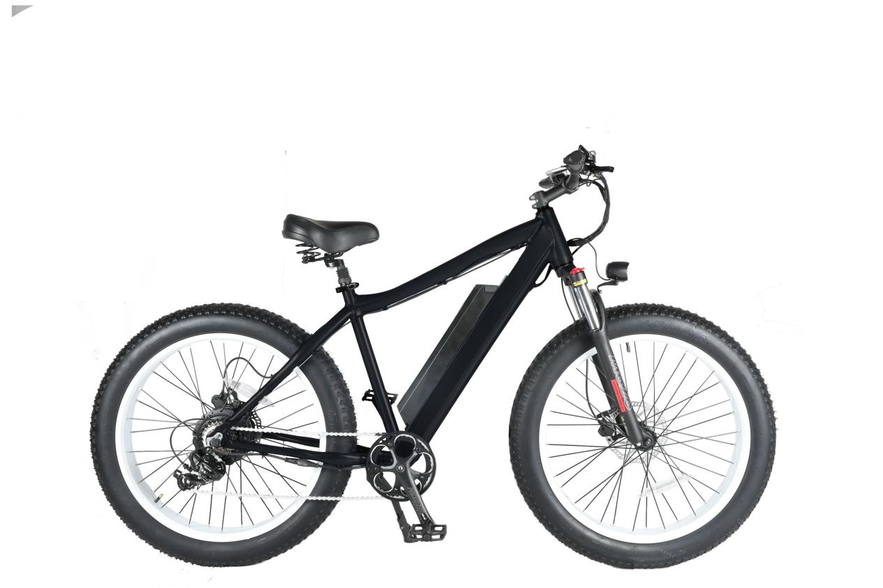 How Much Power Does an eBike Need? - Merry Ebike