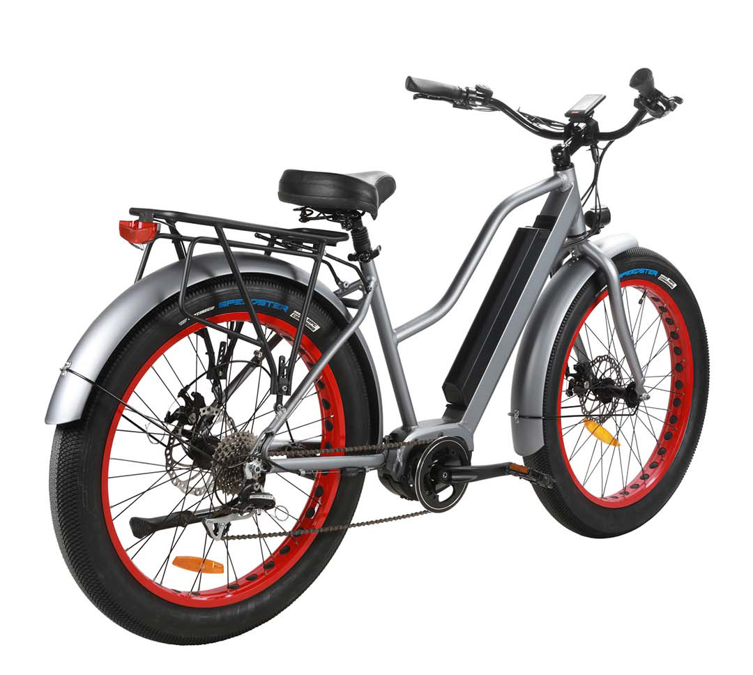 Gloria Electric Fat Tires Bike manufacturer and supplier - Merry Ebike